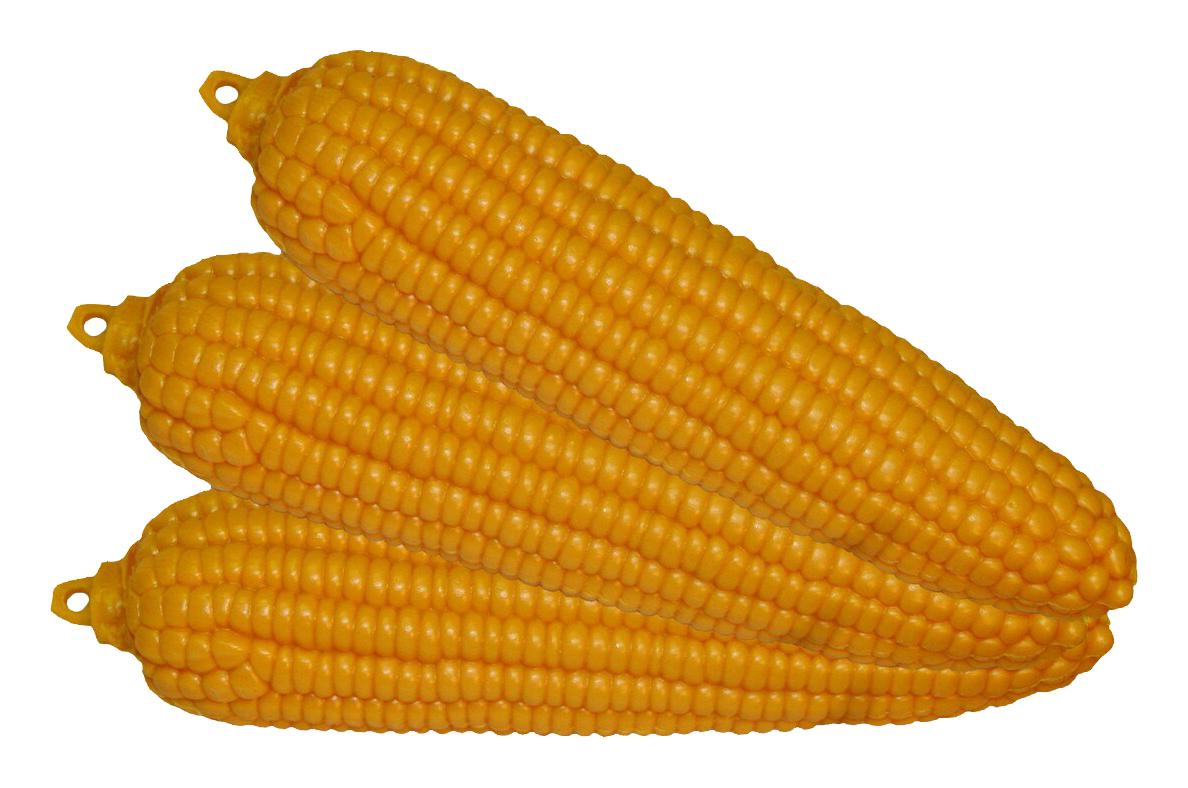 GHG Field Corn 12 Pack | Cabela's