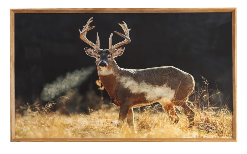deer wall murals