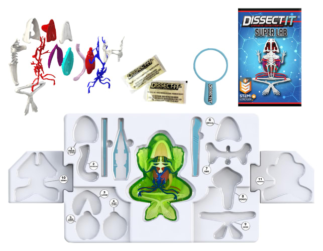 turtle dissection kit