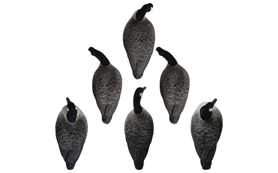 Hardcore Rugged Series Full Body Canada Goose Decoys TouchDown 6-Pack ...