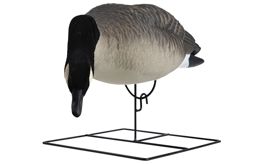 Hardcore Rugged Series Full Body Canada Goose Decoys TouchDown 6-Pack ...