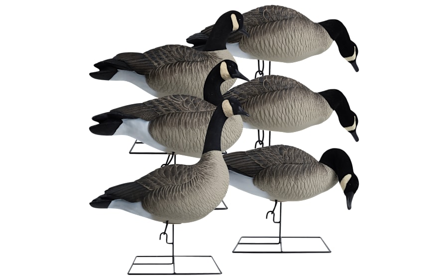 Hardcore Rugged Series Full Body Canada Goose Decoys TouchDown 6-Pack ...