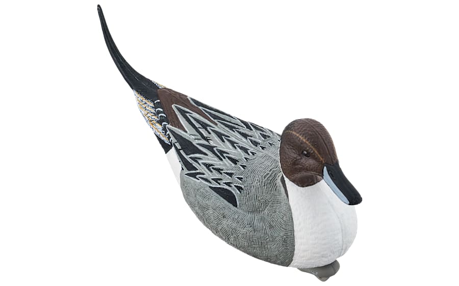 Northern Flight Big Spread Pintail Duck Decoys 12-Pack | Bass Pro Shops