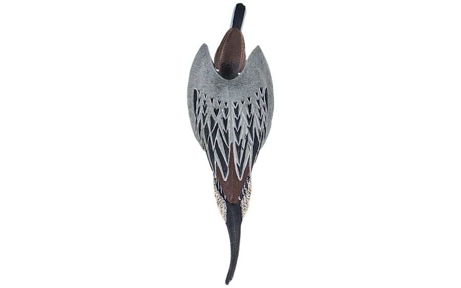 Northern Flight Big Spread Pintail Duck Decoys 12-Pack | Bass Pro Shops