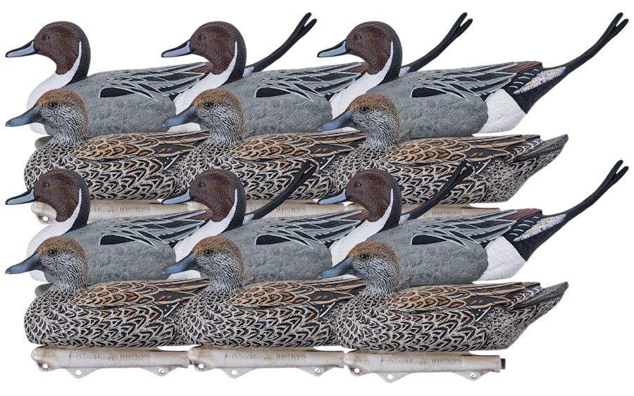 Northern Flight Big Spread Pintail Duck Decoys 12-Pack | Bass Pro Shops