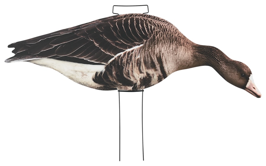Northern Flight Specklebelly Goose Silhouette Goose Decoys | Cabela's