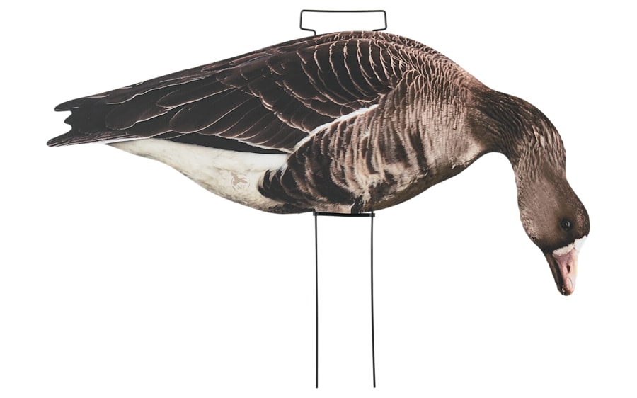 Northern Flight Specklebelly Goose Silhouette Goose Decoys | Cabela's
