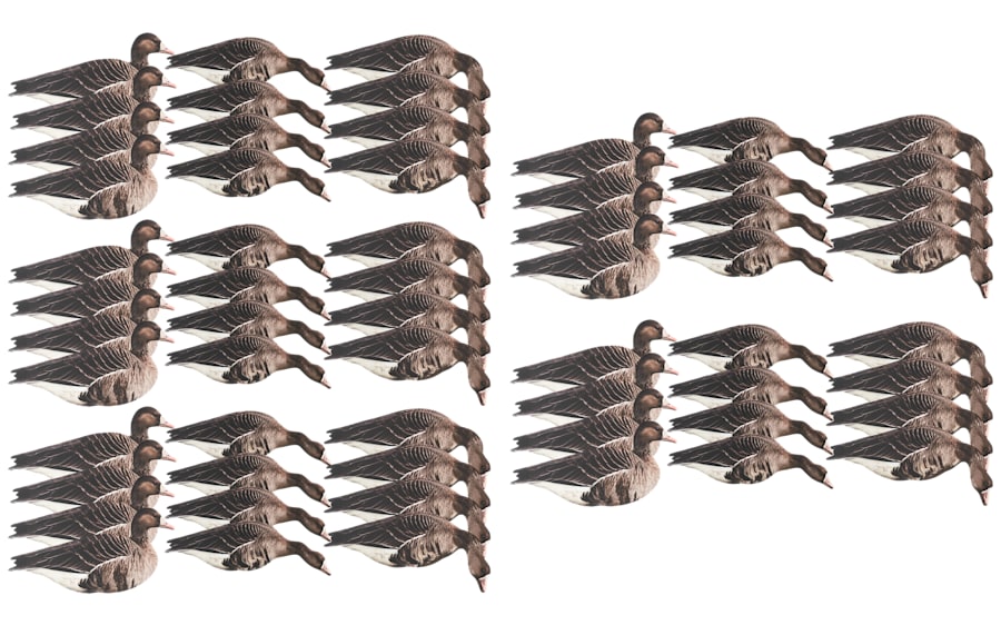 Northern Flight Specklebelly Goose Silhouette Goose Decoys | Cabela's