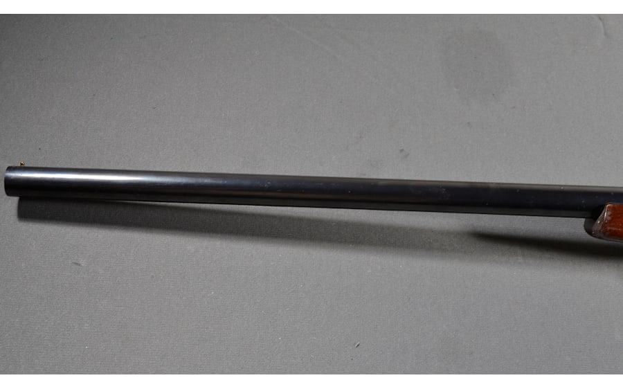 Acciaio ~ Single Shot ~ 12 Gauge | Cabela's