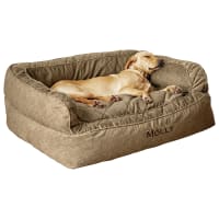 orvis bed dog