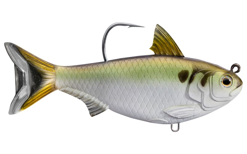 (13cm , Green/Bronze) - Live Target Gizzard Shad Swimbait e9r9jYCEIb ...
