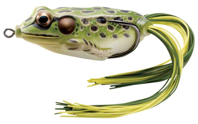 topwater frog