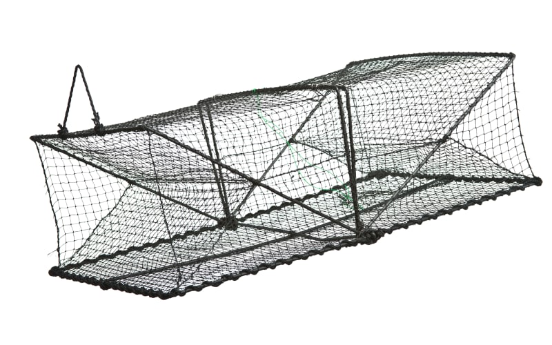 crawfish trap cabela's