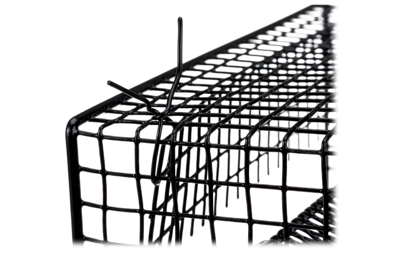 crawfish trap cabela's