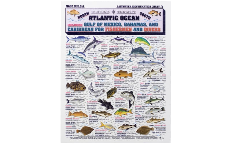 seashore identification guide