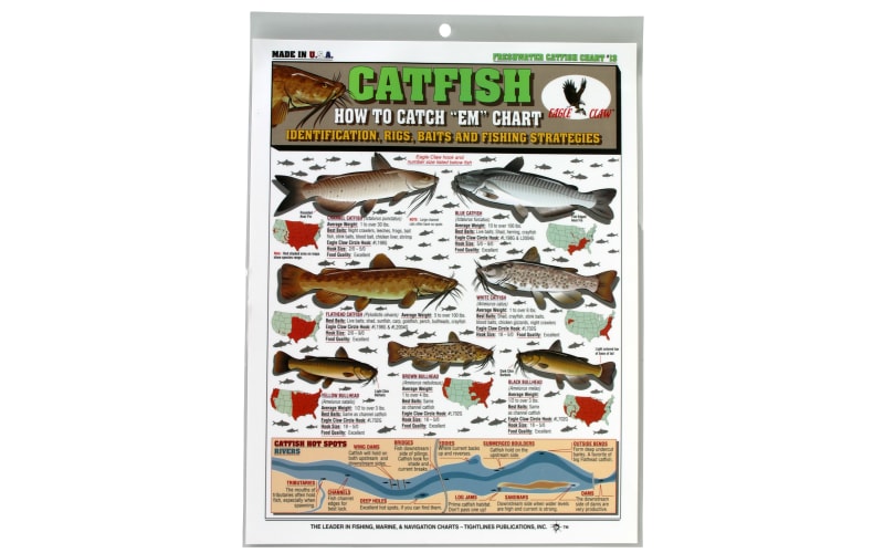 catfish requirements