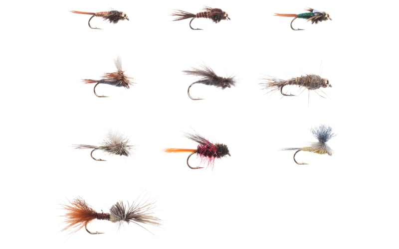 mayfly life cycle fly patterns