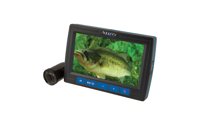 salmon underwater camera