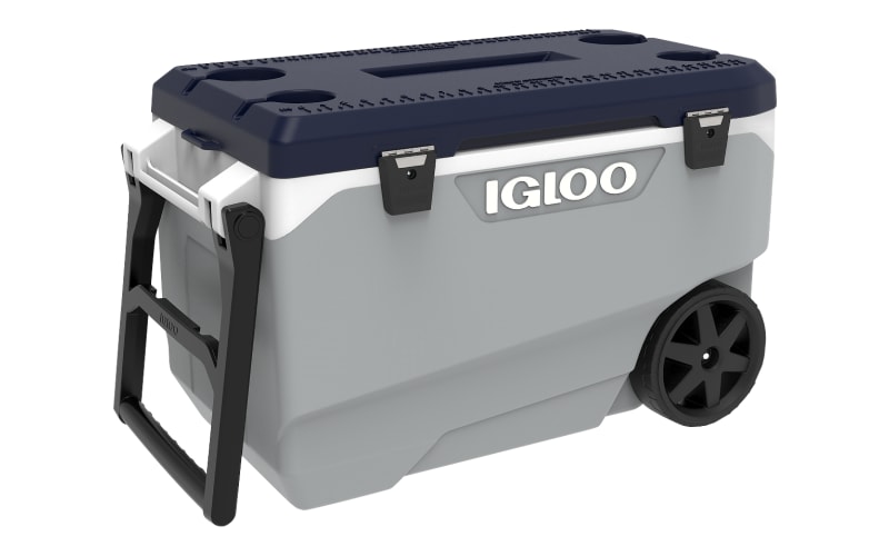 Igloo Split Lid Cooler | ppgbbe.intranet.biologia.ufrj.br