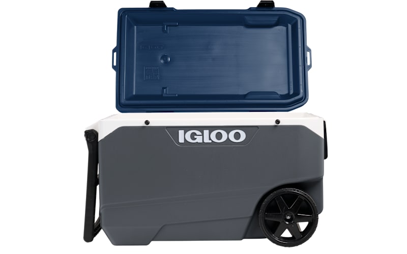 igloo cooler open now