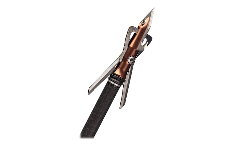 turkey terror broadhead