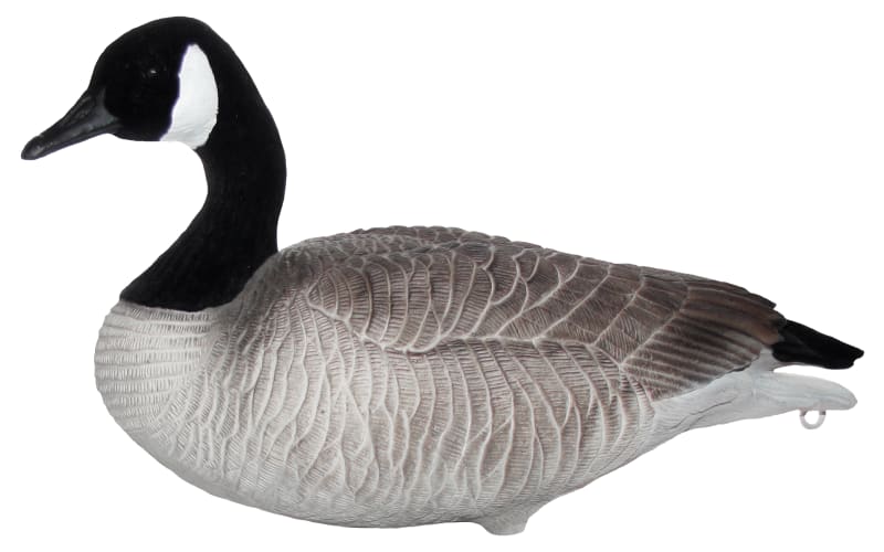 Northern Flight Full-Body Canada Goose Decoys Bass Pro