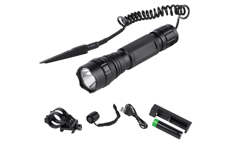 bowfishing bow light