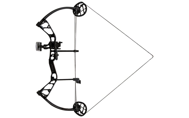 bear warrior compound bow