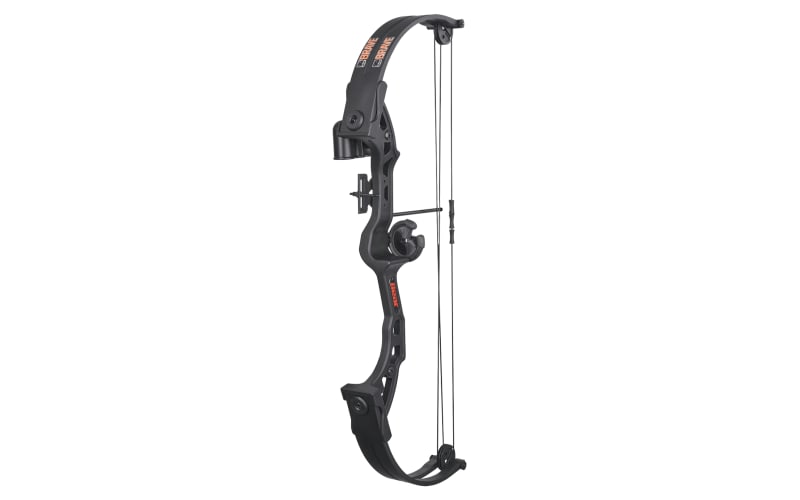 bear warrior 2 compound bow