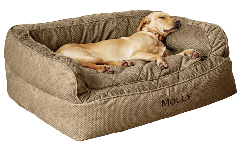 orvis catalogue request