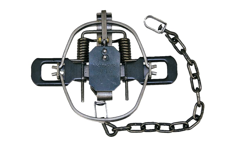 coil spring traps