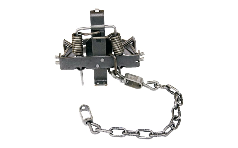 coil spring traps