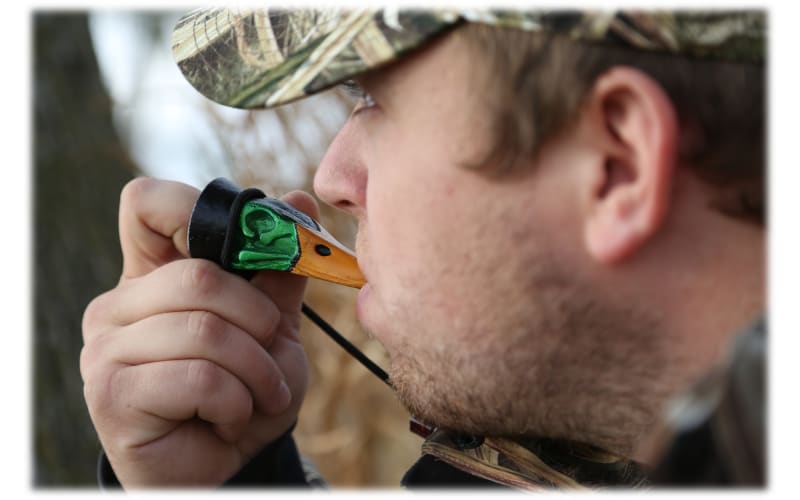 drake calling chunkz