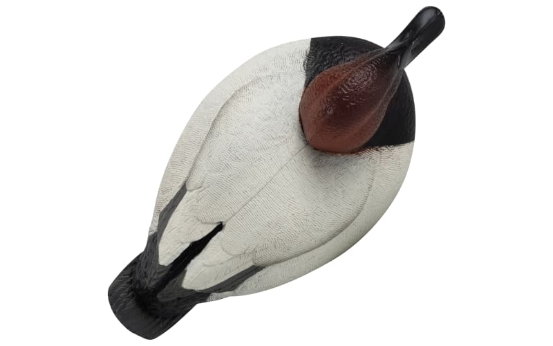 hen canvasback decoy