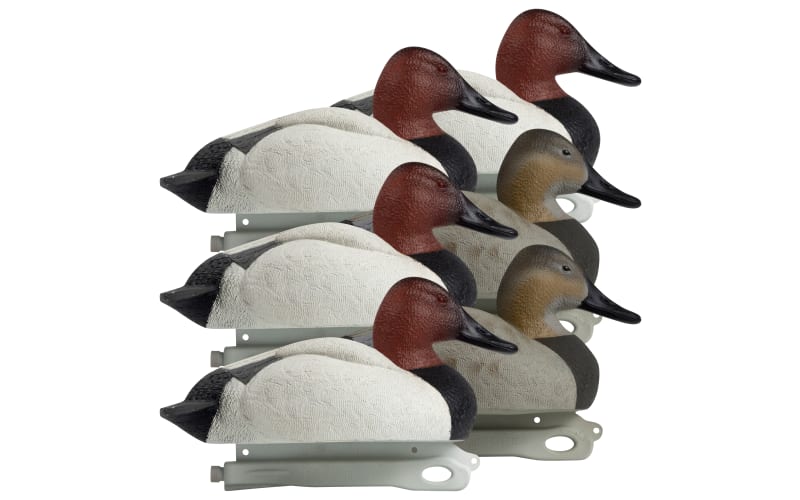 hen canvasback decoy