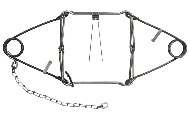 largest conibear trap