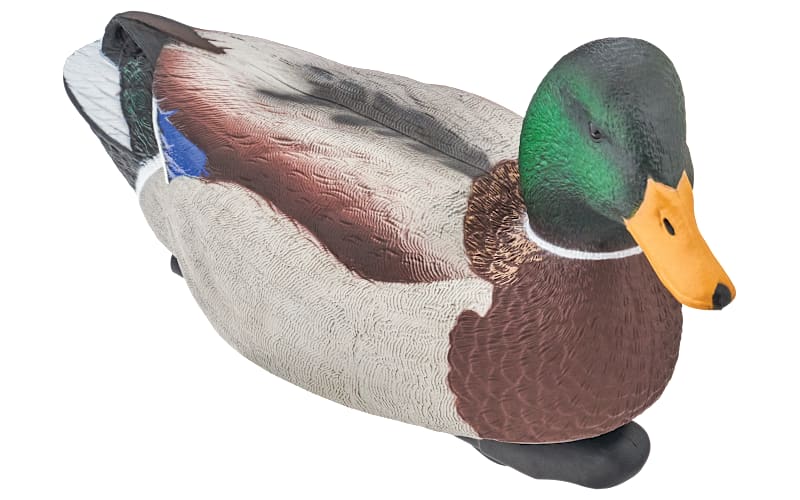 mallards ladder