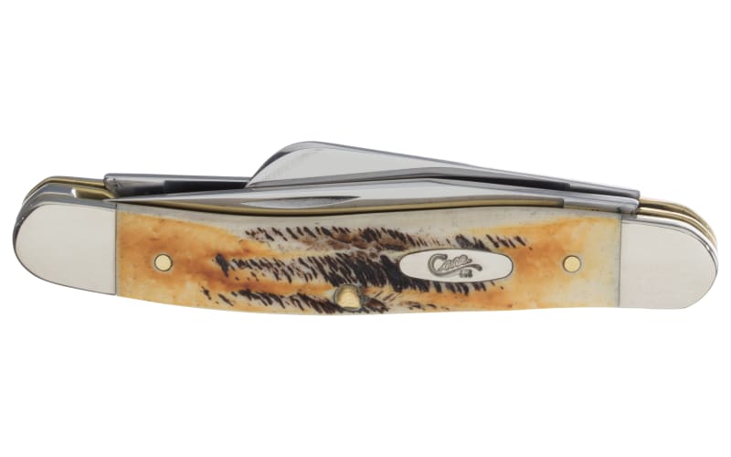 bone stag case knife