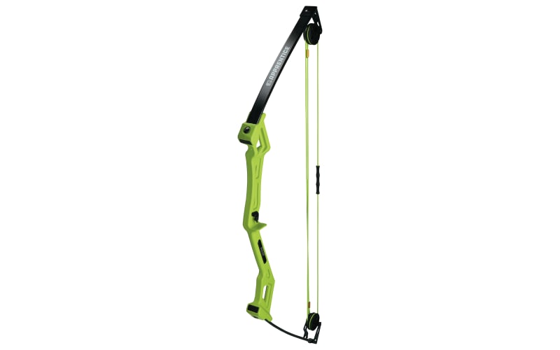 recurve compound bow