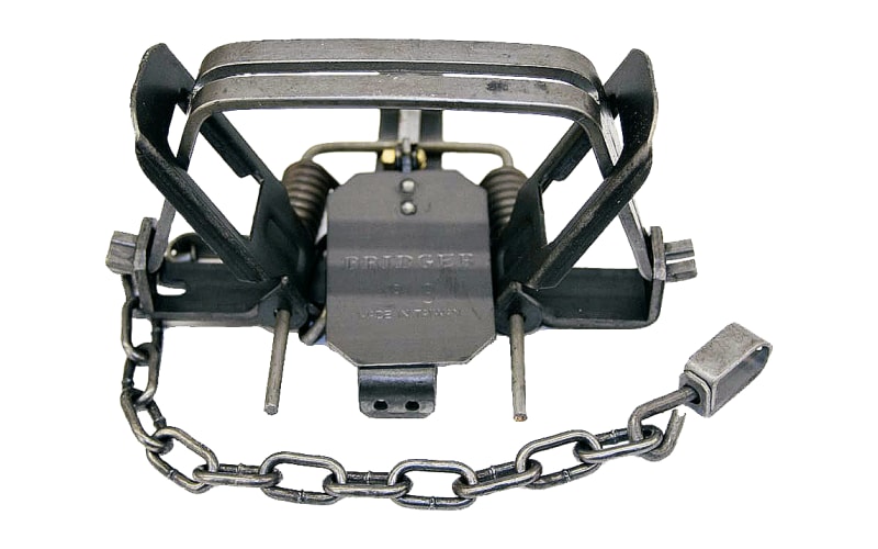 coil spring traps