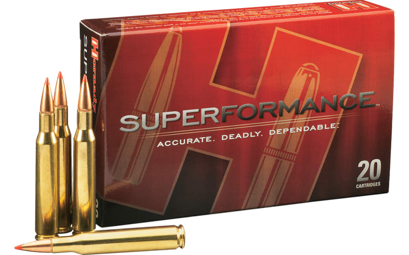 hornady 243 bullet heads