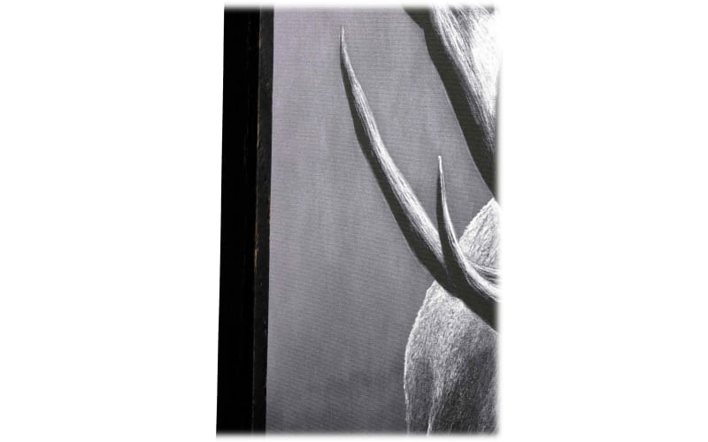 moose black and white art