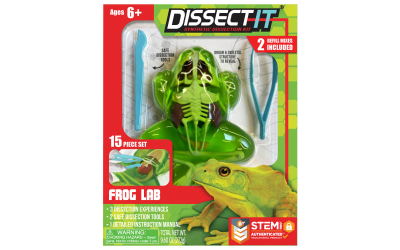 slimy frog dissection
