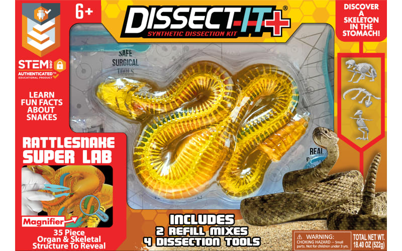 dissect a snake kit