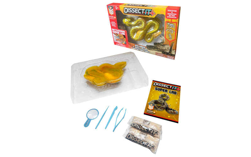 dissect a snake kit