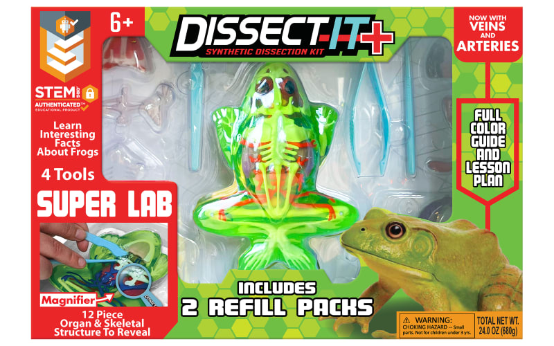 turtle dissection kit