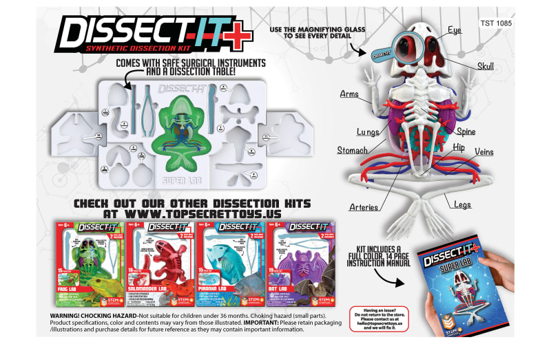 turtle dissection kit