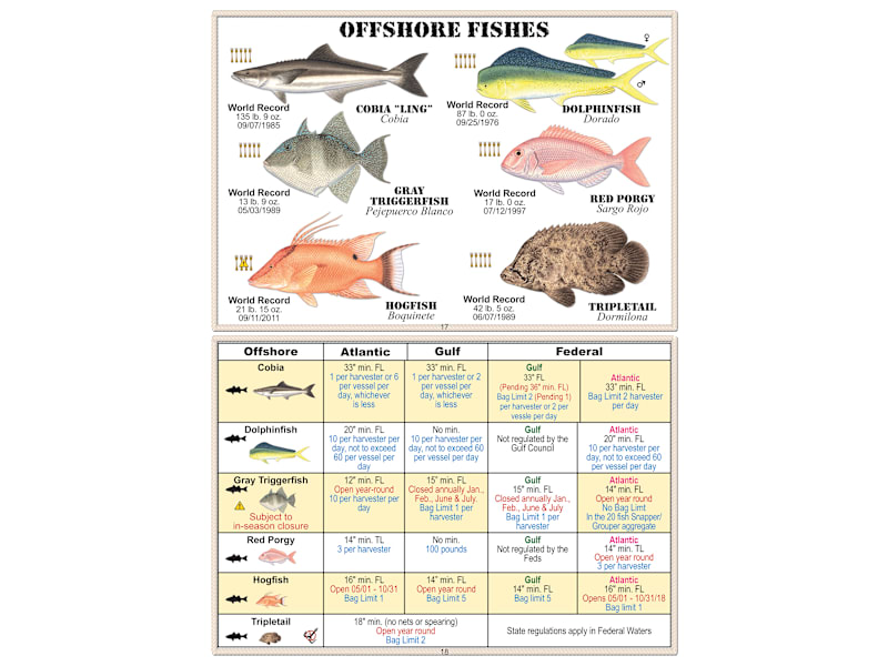 Waterproof Fish Identification Card Florida Fish Id Card Fish