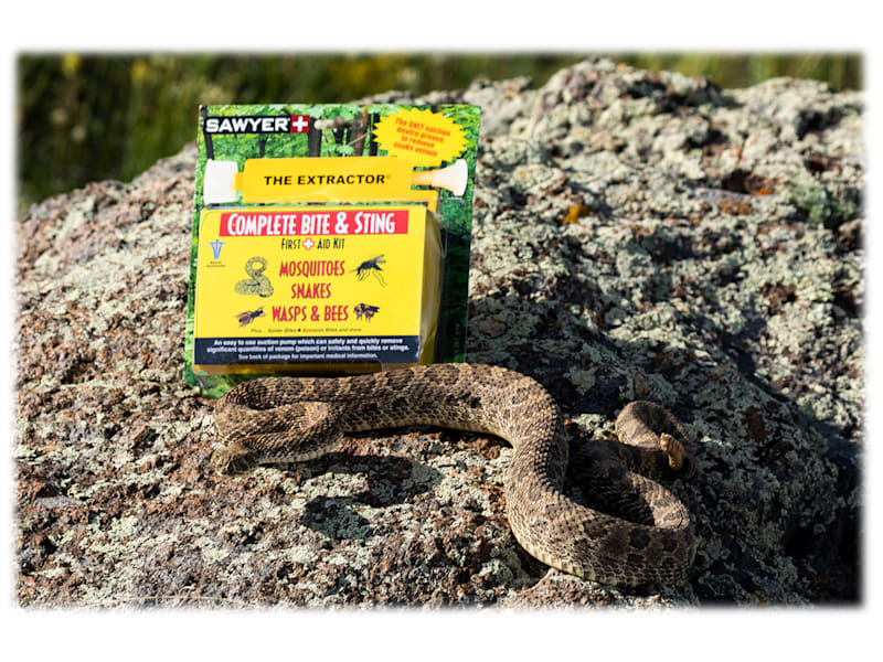 crotalidae polyvalent