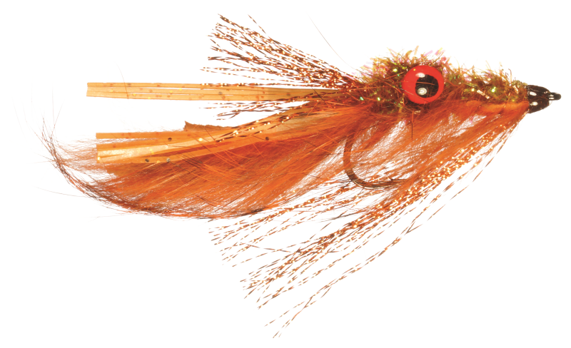 Cabelas flies store